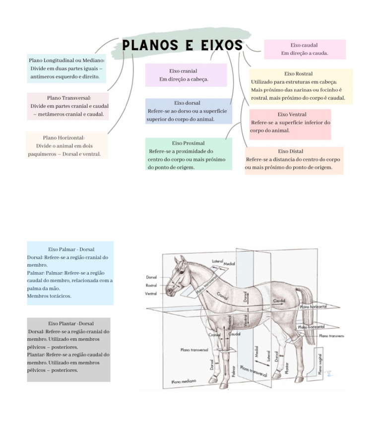 Planos e eixos resumo | PDF