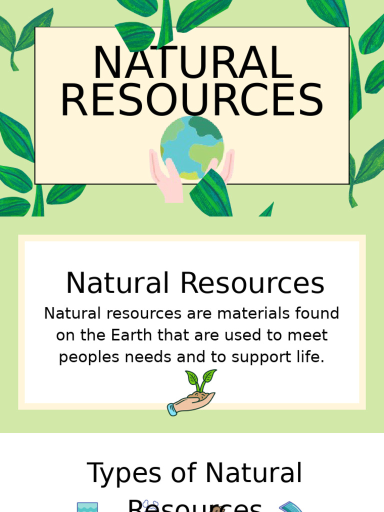 Understanding Natural Resources Types | PDF