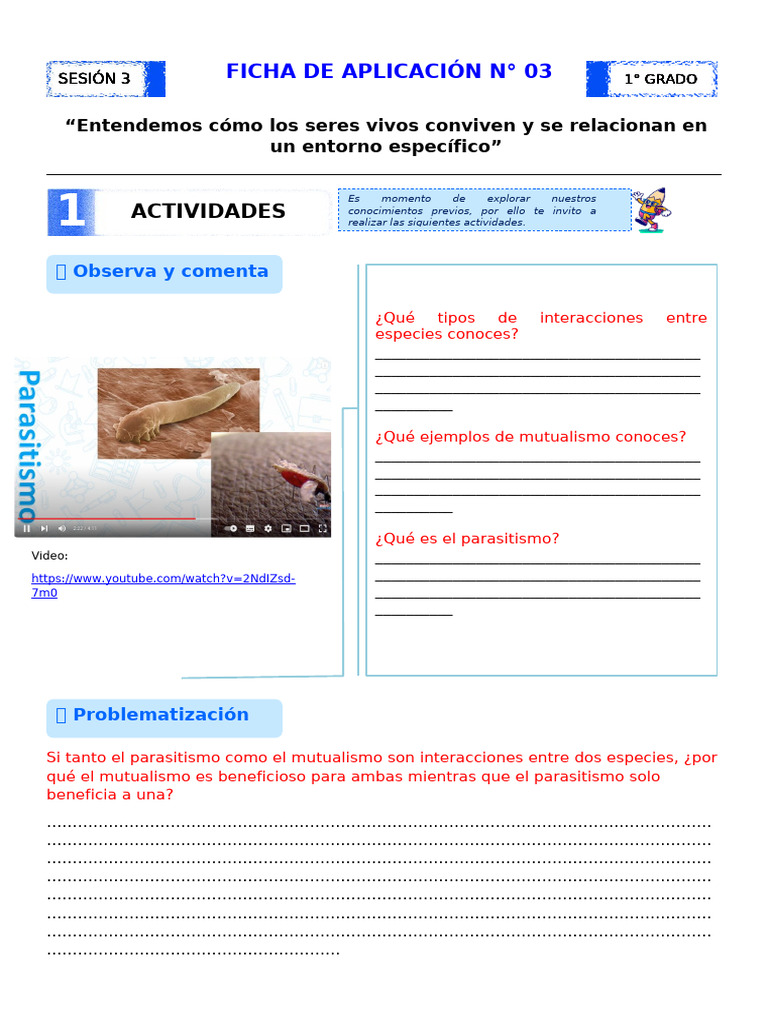 FICHA 3 - Entendemos Cómo Los Seres Vivos Conviven y Se Relacionan en Un Entorno Específico ...