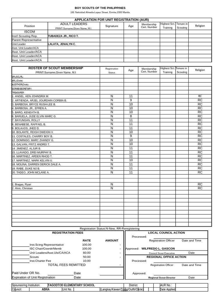 Bsp Registration Form | PDF | Scouting | Youth Movements