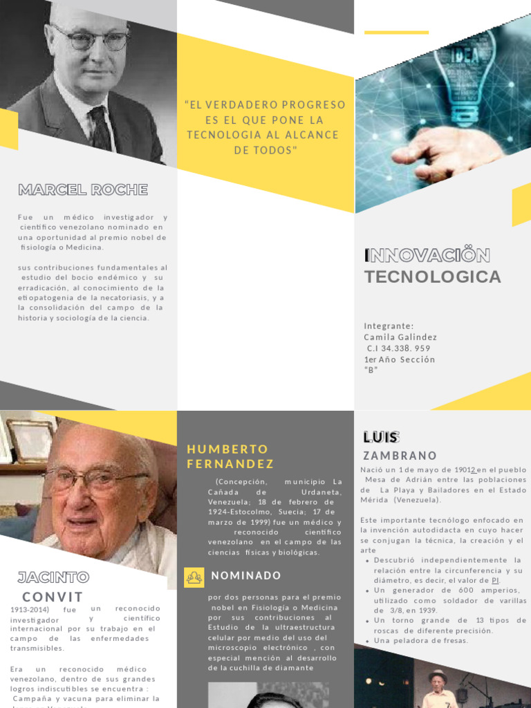 Folleto Brochure de Servicios Empresa Profesional Amarillo | PDF