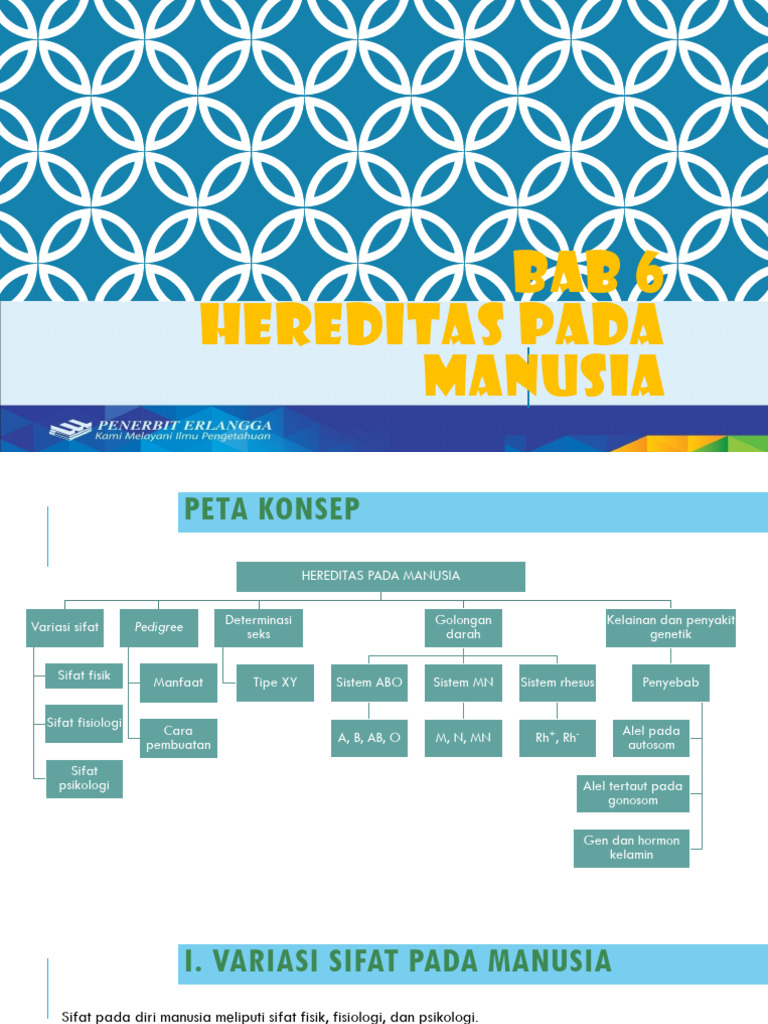 BAB 6 Hereditas Manusia | PDF