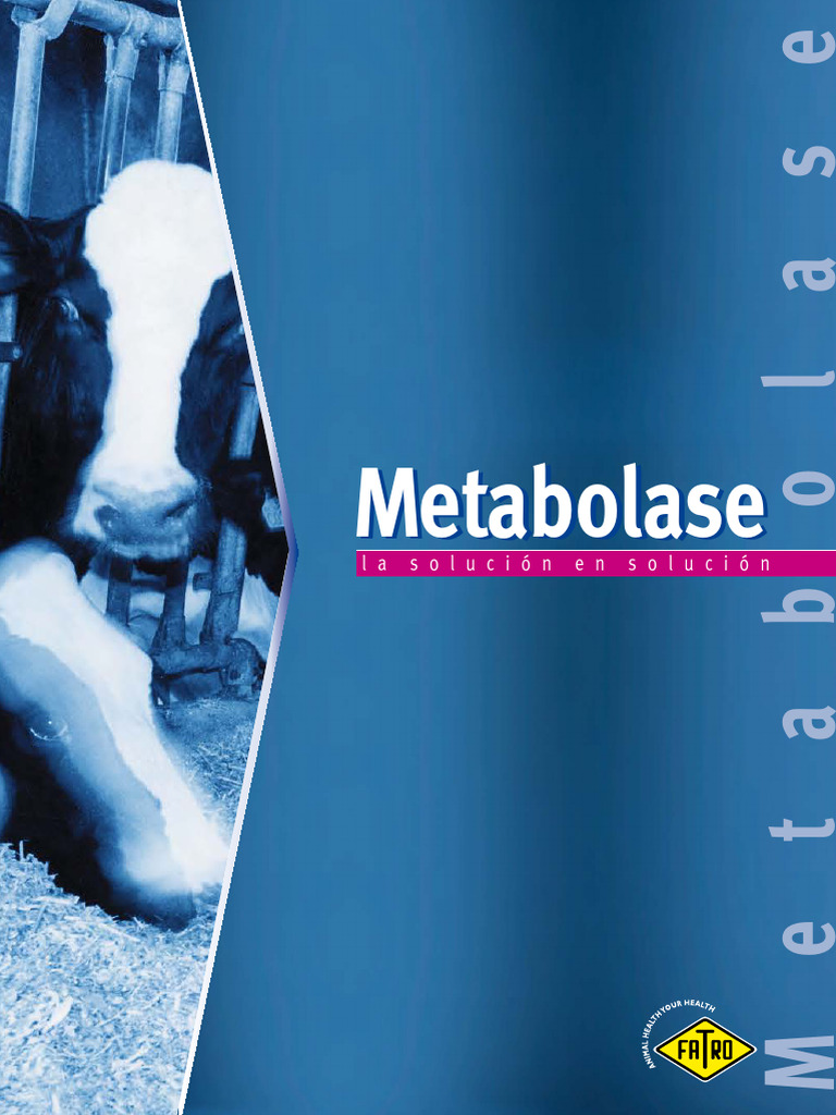 Metabolase Folletto Bovinos | PDF | Metabolismo | Biosíntesis
