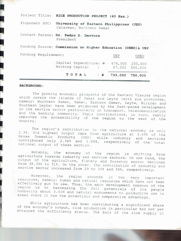 Rice Production Project (FS) | PDF