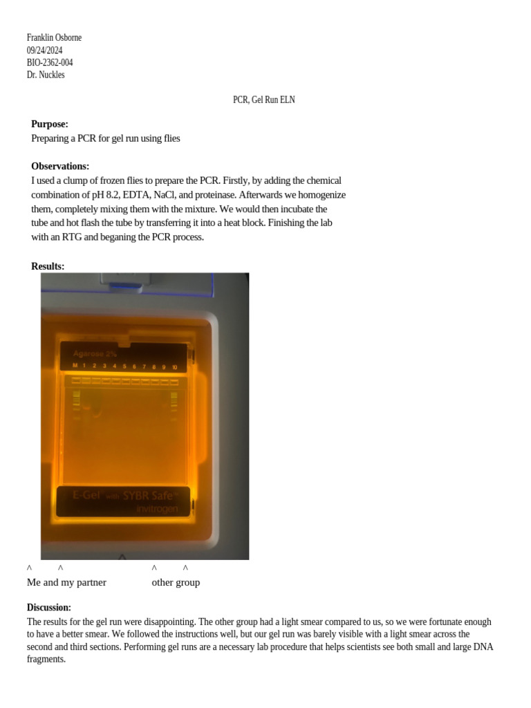 PCR, Gel Run_ELN | PDF