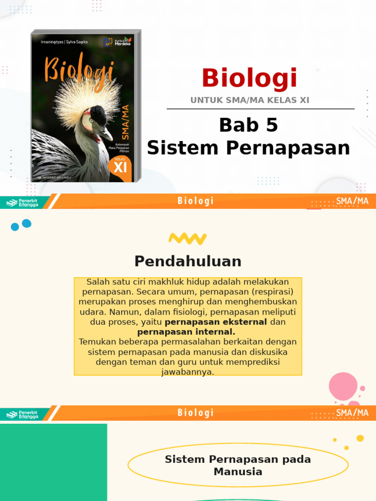 Bab 2 Biologi Kelas XI Sistem Pernapasan | PDF
