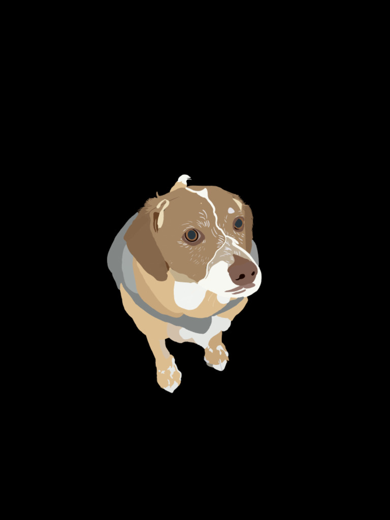 Peanut | PDF