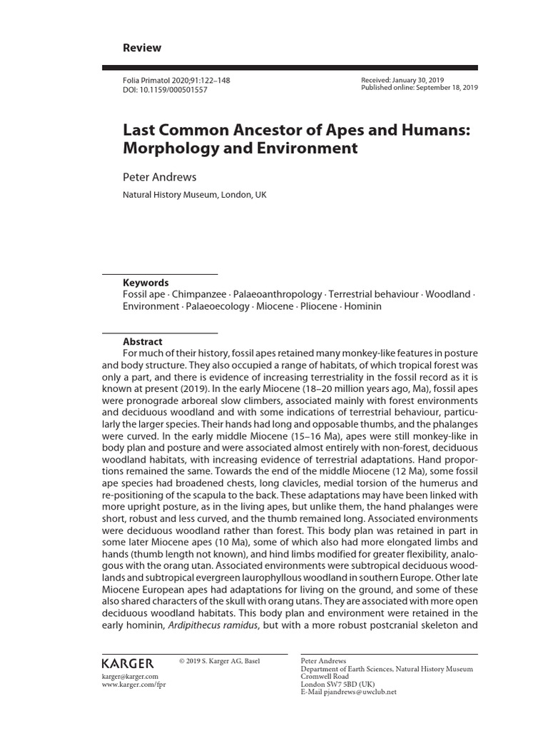 Proconsulids: Ancestors of Apes and Humans | PDF | Hominidae | Vertebra