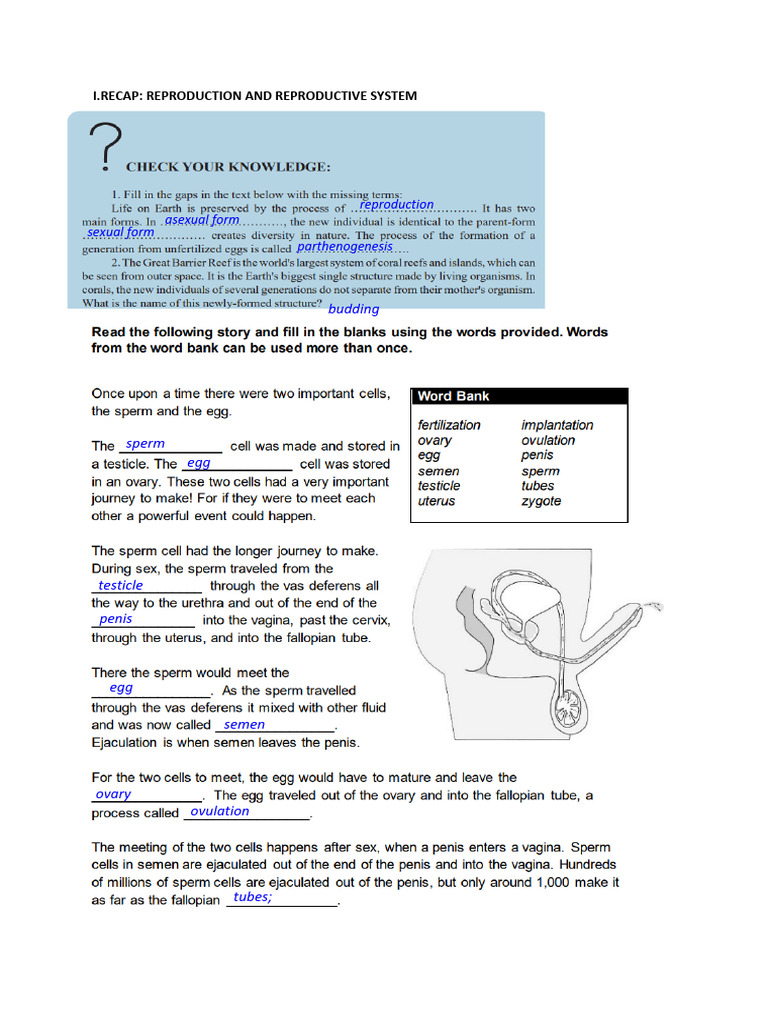 RS Worksheet | PDF