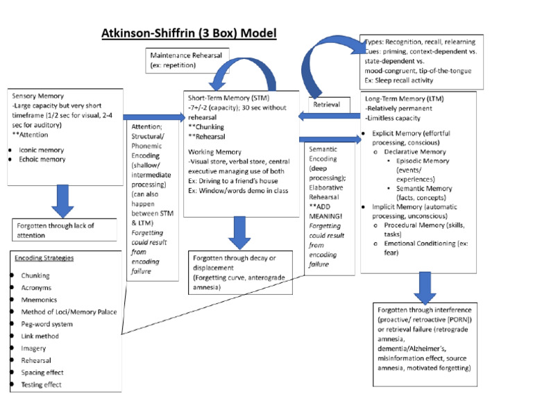 Atkinson-Shiffrin 3 Box Model Layering Diagram | PDF