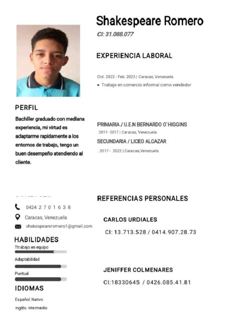 Documento WPS Office | PDF