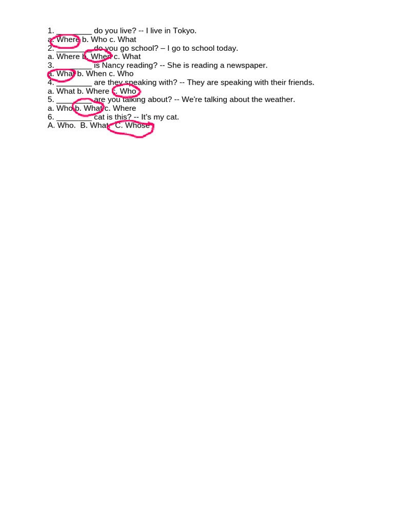 Review WH Questions | PDF