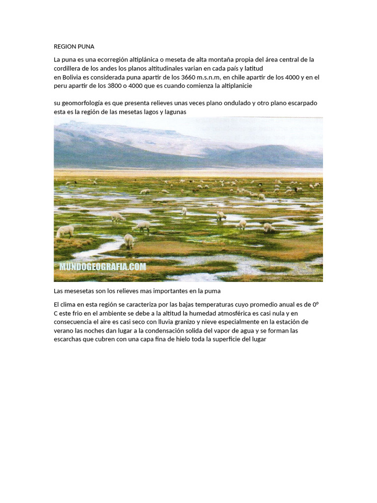 Region Puna | PDF | Andes | Montañas