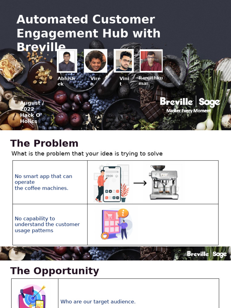 Automated Customer Engagement Hub | PDF