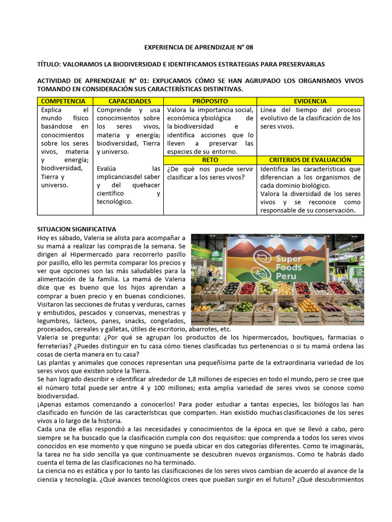 ACTIVIDAD DE APRENDIZAJE N° 1 EDA N8 | PDF | Eucariotas | Las bacterias