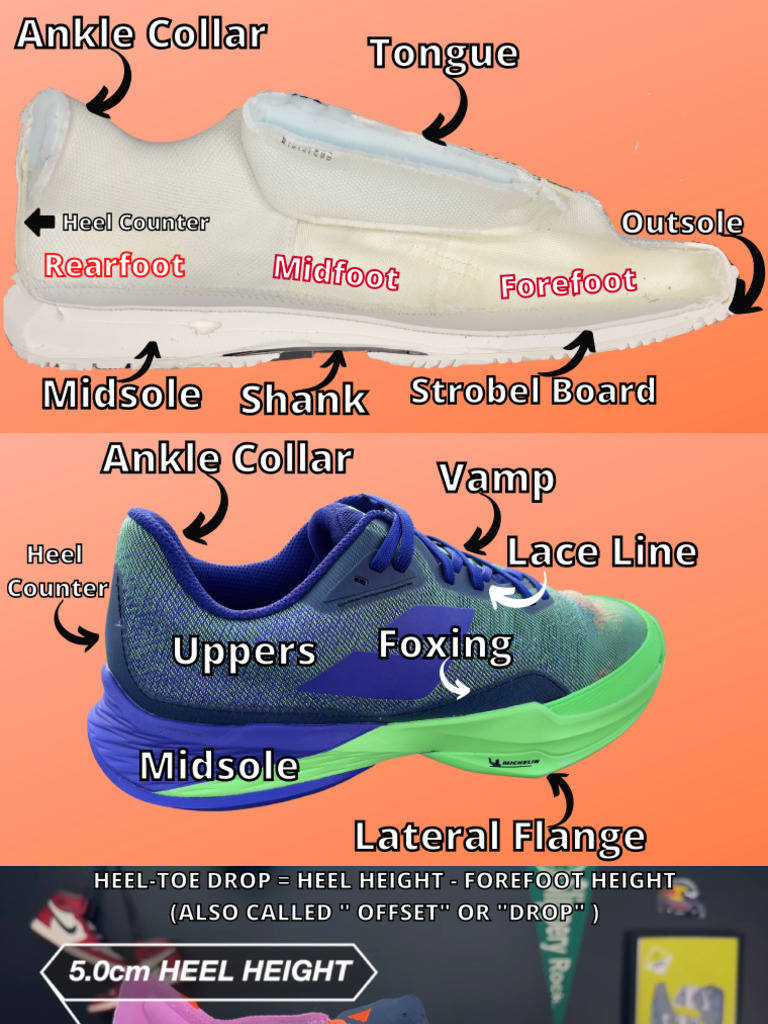 Shoe Anatomy | PDF