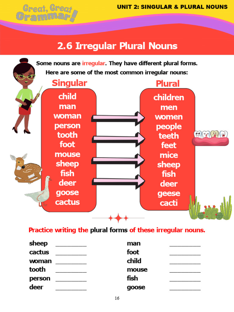 Irregular Plural Nouns Practice | PDF