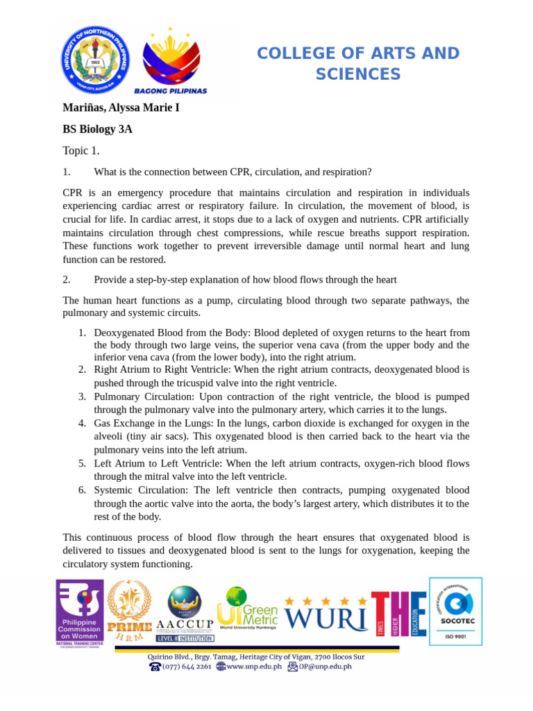 UNP Template | PDF | Cardiopulmonary Resuscitation | Lung