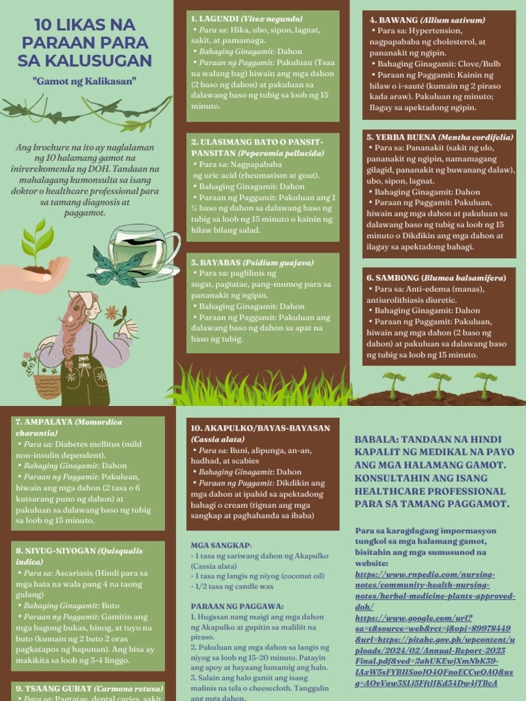 Brochure On Herbal Medicine | PDF