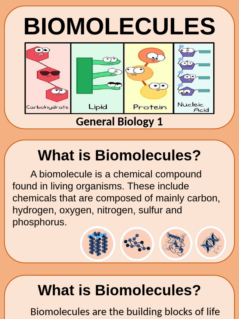 Lesson 8 Biomolecules | PDF | Carbohydrates | Biomolecules