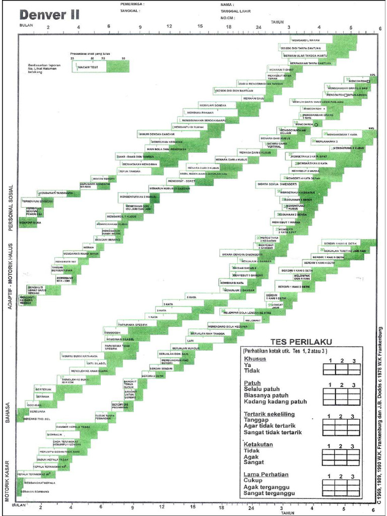 Pemeriksaan Tumbuh Kembang Anak Menggunakan Denver II | PDF