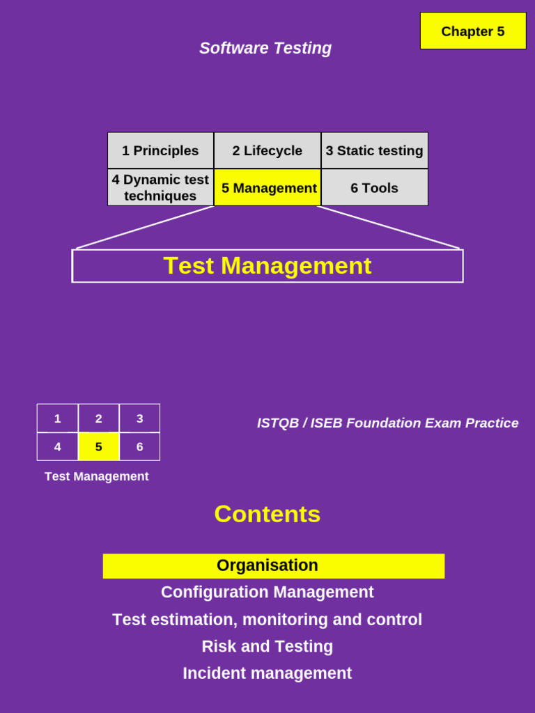 Swt5 Ref Pdf Software Testing Risk