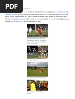 Understanding Sports: Definition & Types | PDF | Sports