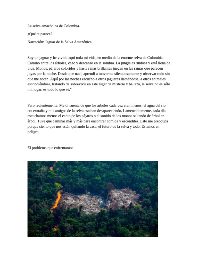 La Selva Amazónica de Colombia | PDF | Selva | Agua