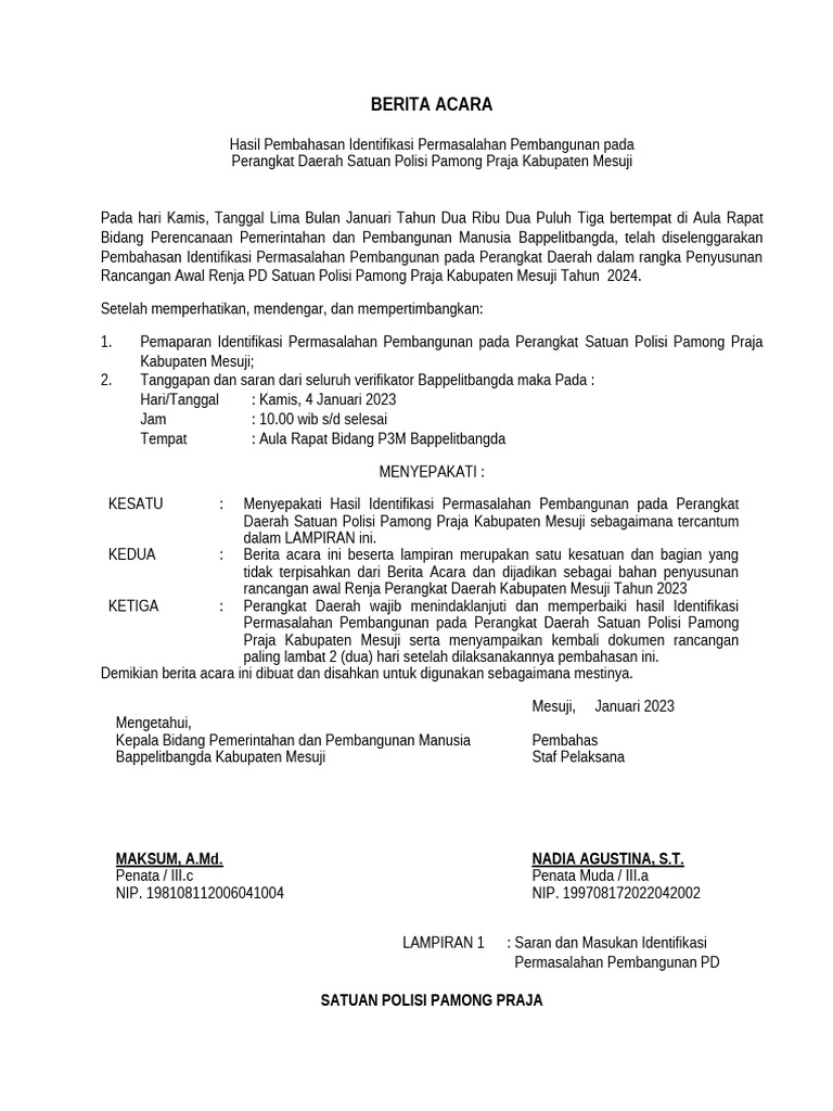 BA Identifikasi Permasalahan Pembangunan (POLPP) | PDF