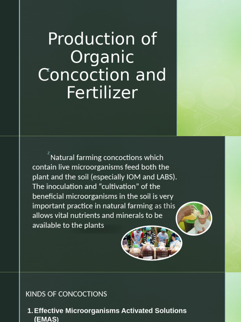 Production of Organic Concoction and Fertilizer | PDF | Plants | Soil