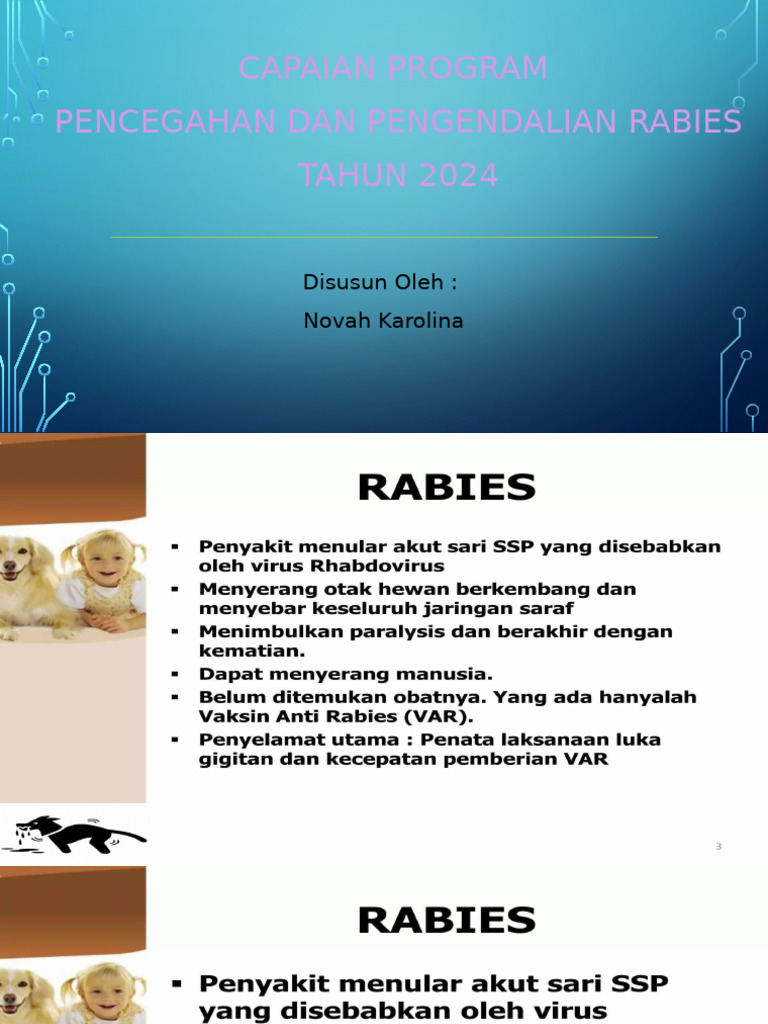 Capaian Program Rabies 2024 | PDF