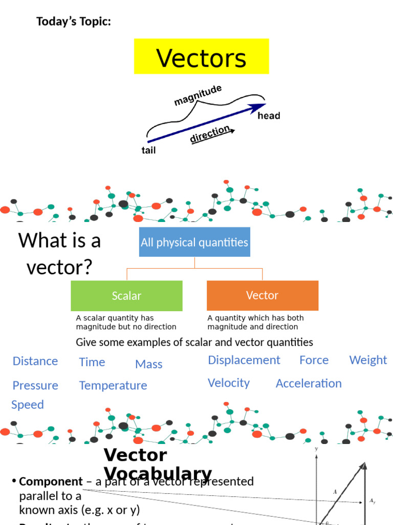 Vectors | PDF | Euclidean Vector | Physical Quantities