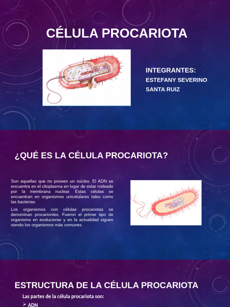 Introducción a Células Procariotas | PDF