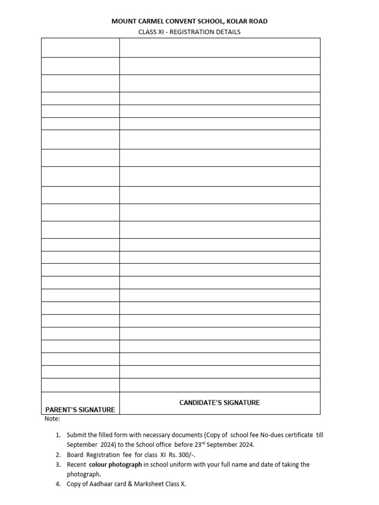 Class 11 Accountancy Project | PDF