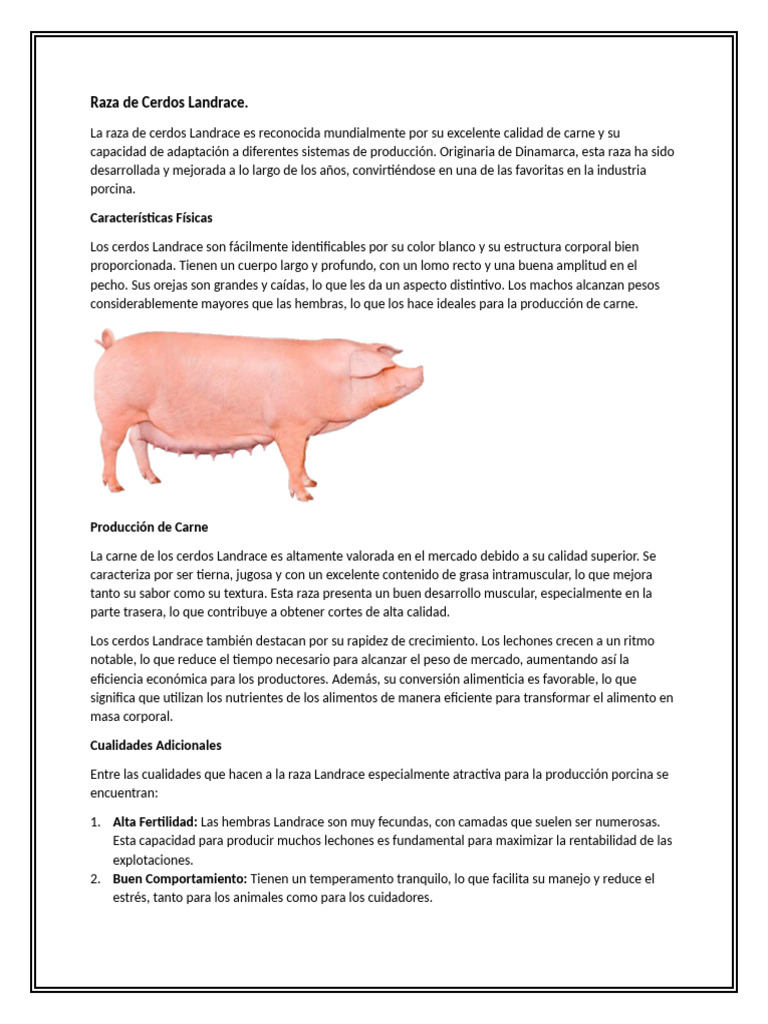 CERDOS | PDF | Carne | Cerdo