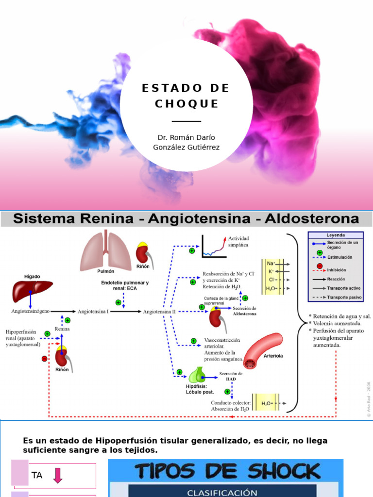 Estado de Choque | PDF