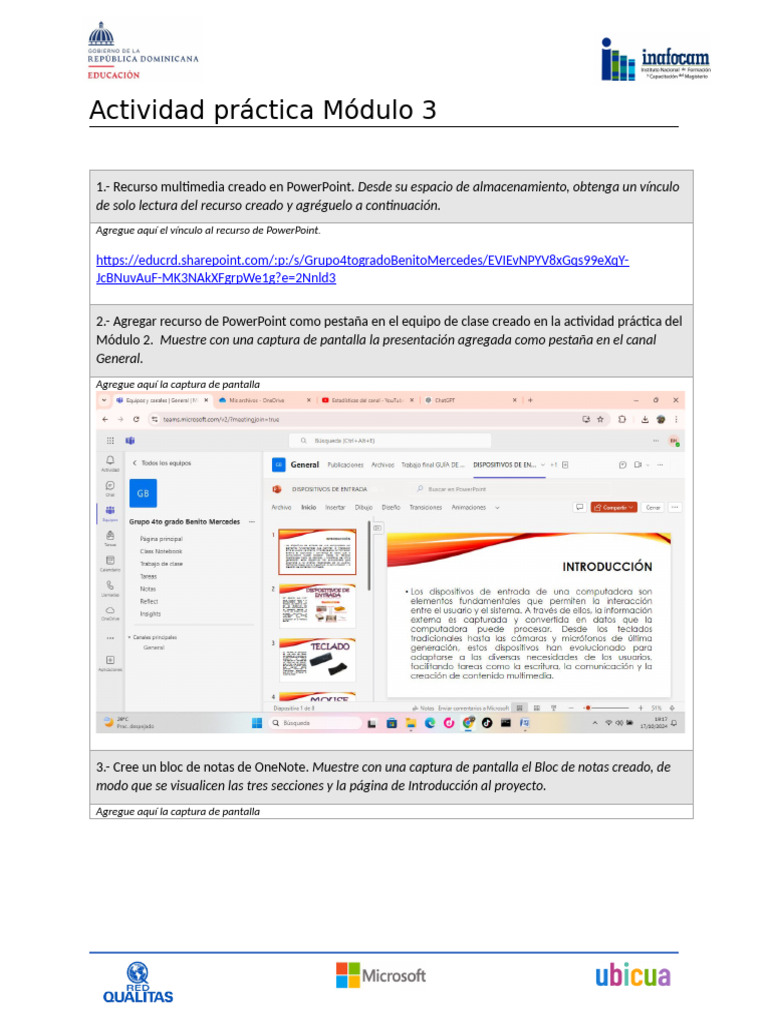 Plantilla Actividad Practica Modulo 3 | PDF