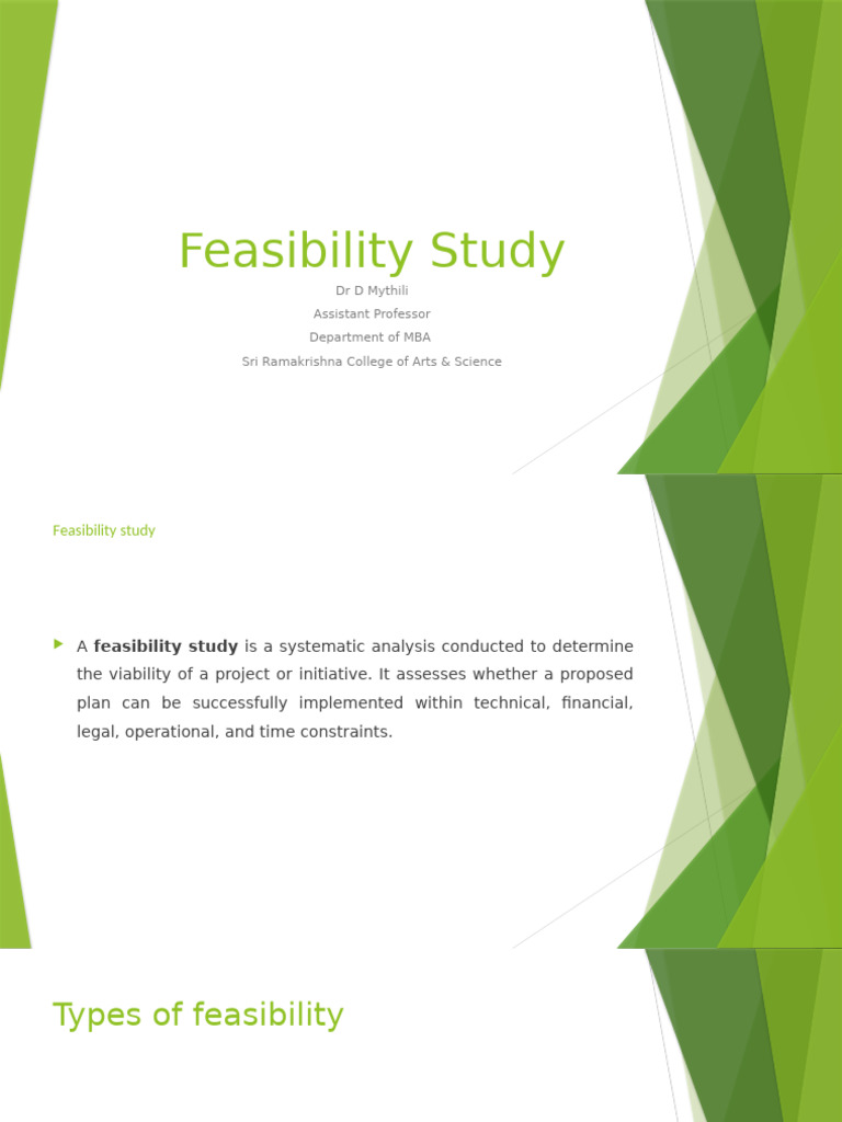 Comprehensive Guide to Feasibility Studies | PDF
