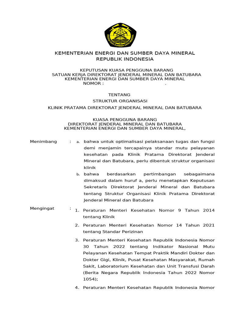 SK STRUKTUR ORGANISASI Draf | PDF