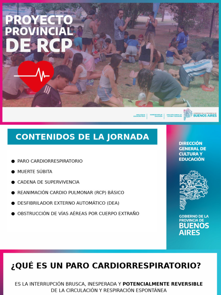 RCP 2024 | PDF | Reanimación cardiopulmonar | Paro cardíaco