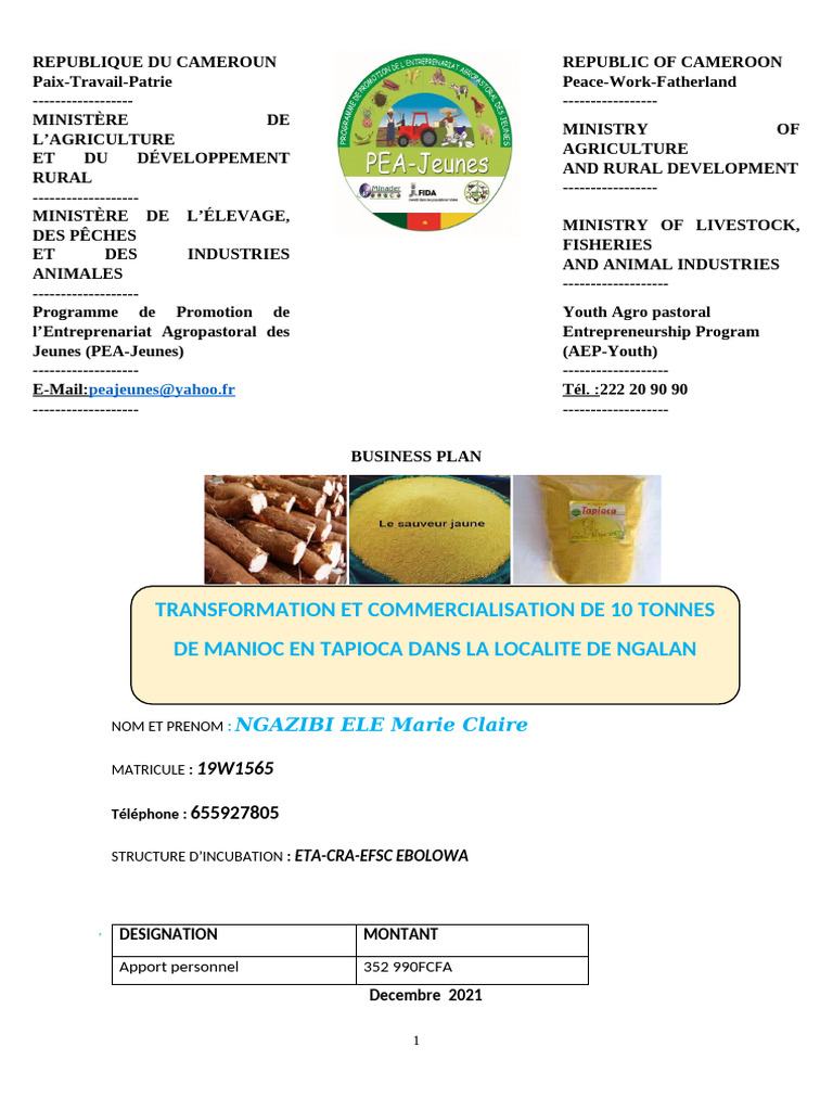 Business Plan pour la Production de Tapioca | PDF | Business | Publicité