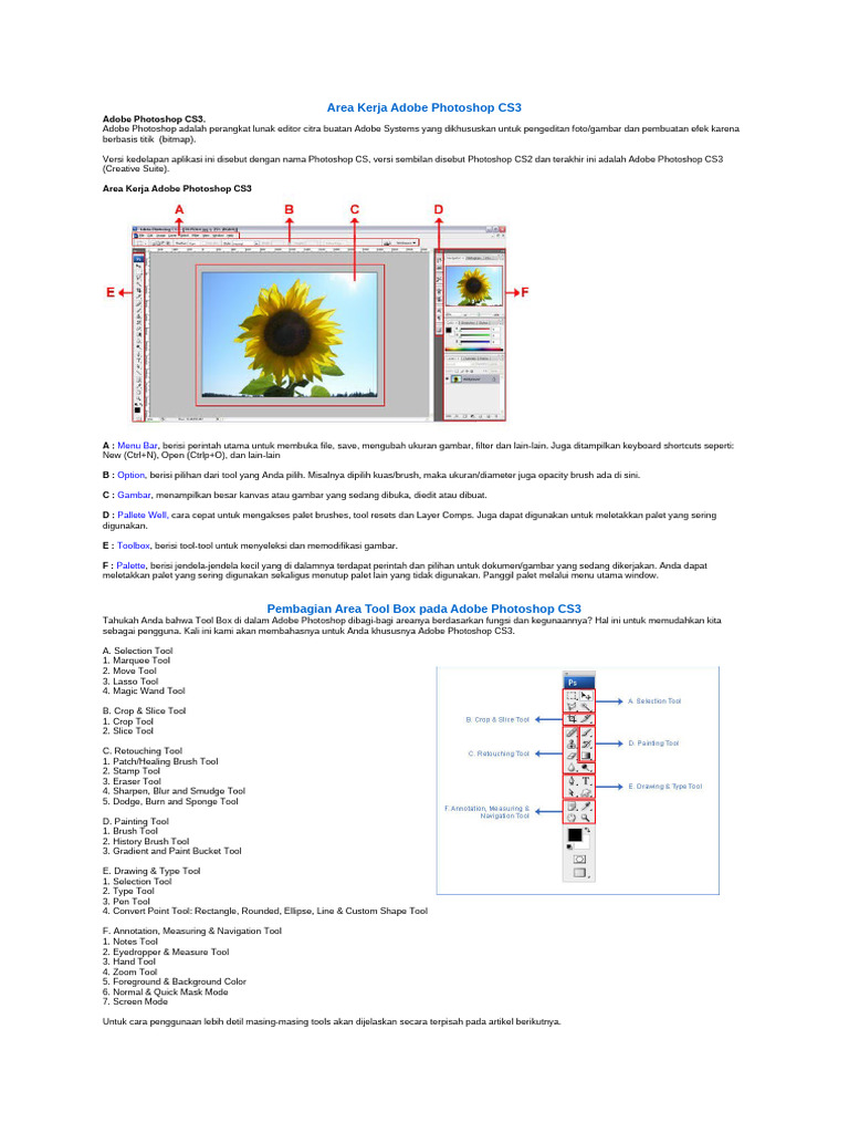 Area Kerja Adobe Photoshop CS3 | PDF