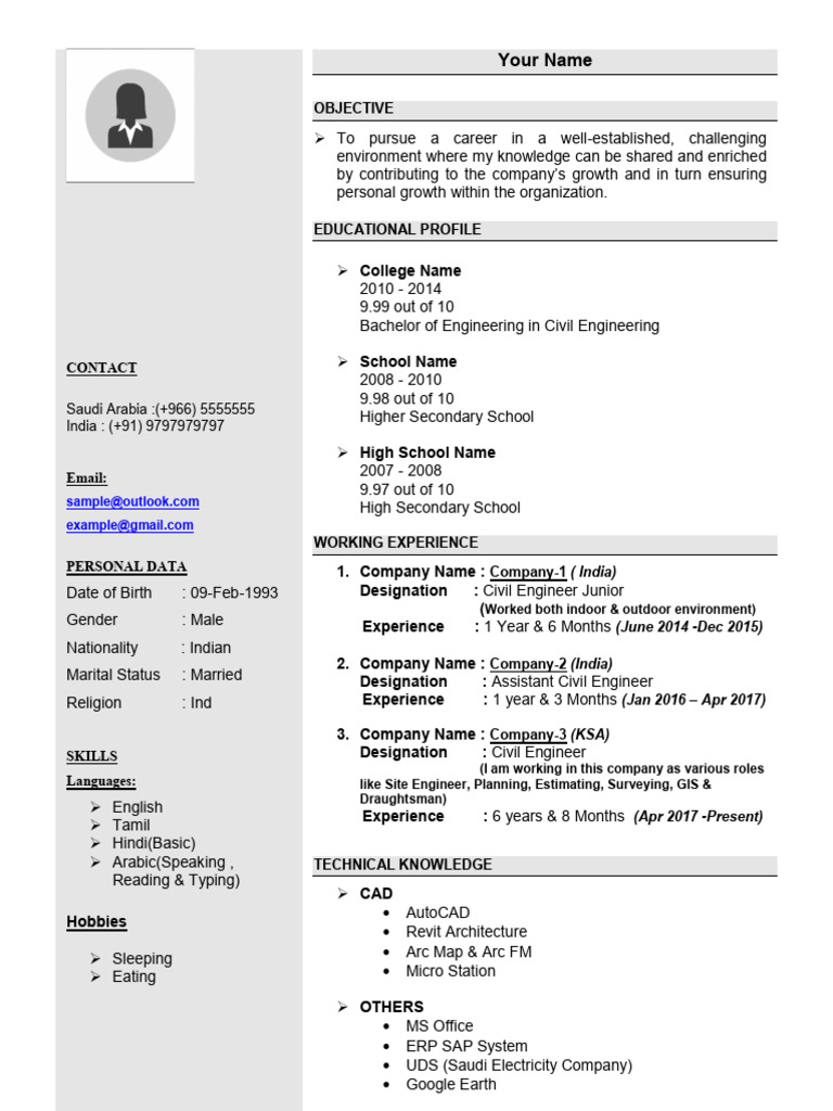 Civil Engineer Profile Summary | PDF | Surveying | Geographic ...