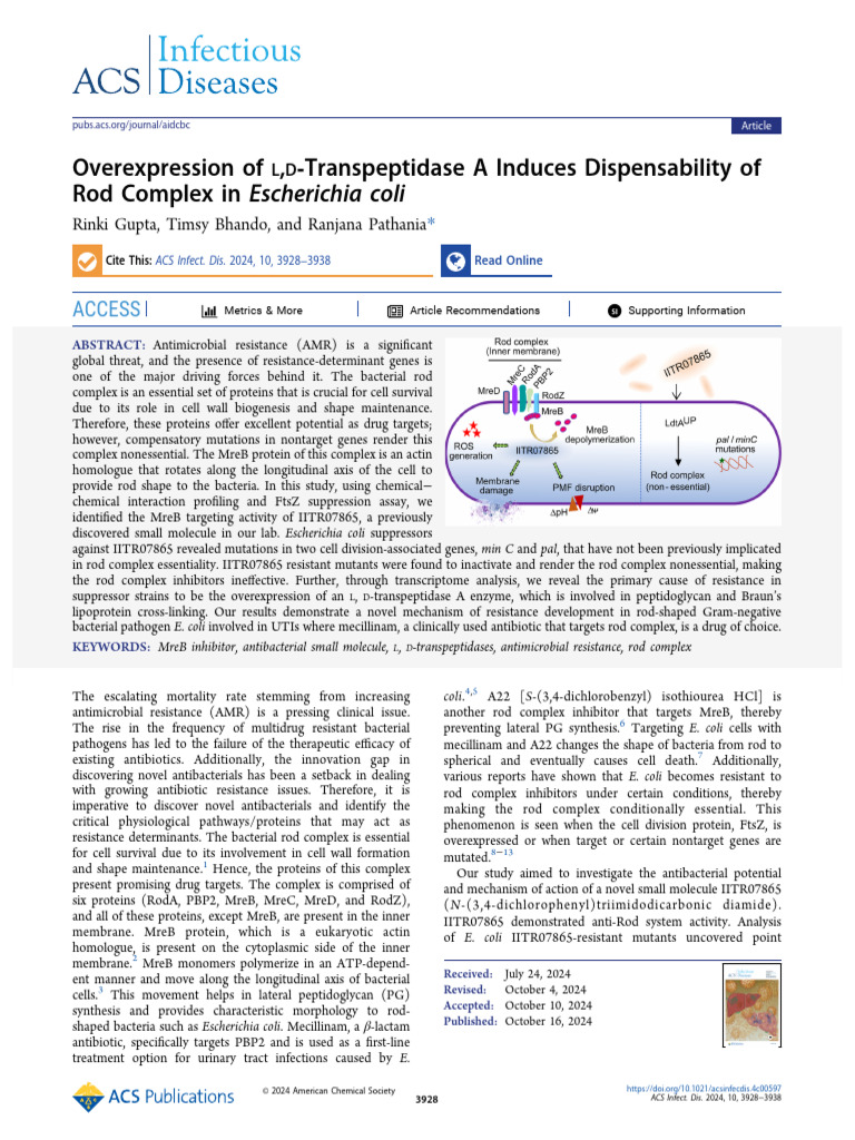 Gupta Et Al 2024 Overexpression of L D Transpeptidase A Induces ...