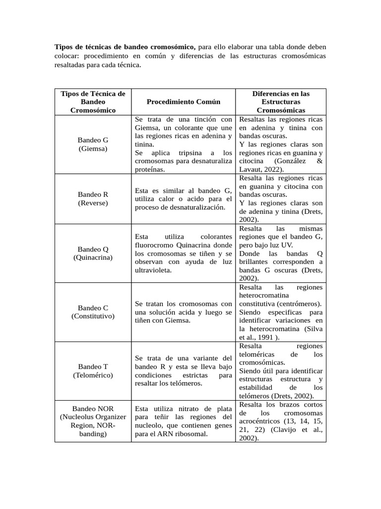 Tipos de Técnicas de Bandeo Cromosómico | PDF | Cromosoma | Citogenética