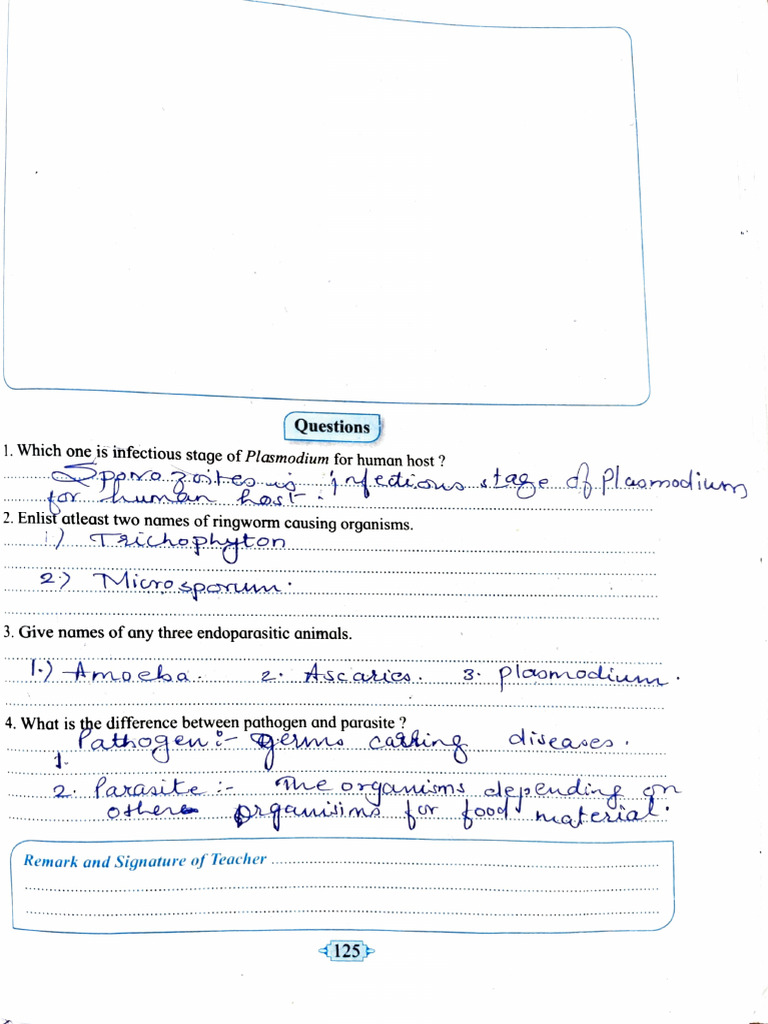 Practical No.7 | PDF