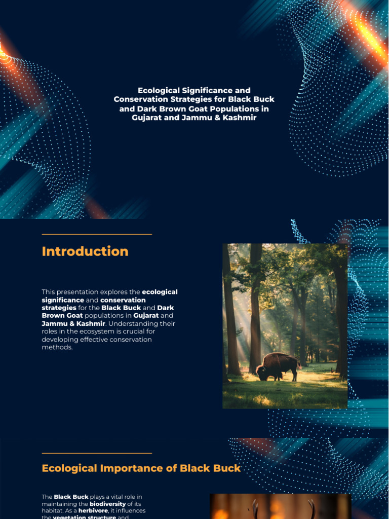 Slidesgo Ecological Significance and Conservation Strategies For Black ...