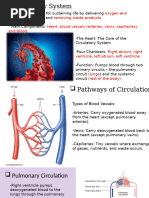 Grade 6 Circulatory System Worksheet | PDF