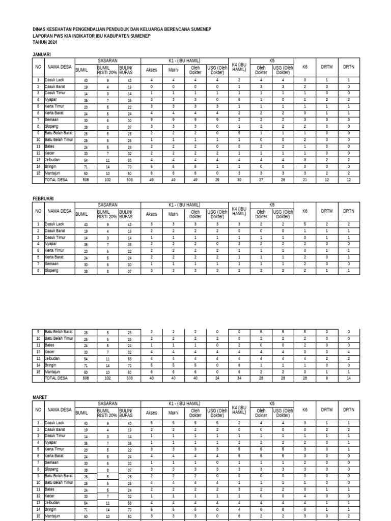 1. Pws Ibu 2024_dasuk | PDF