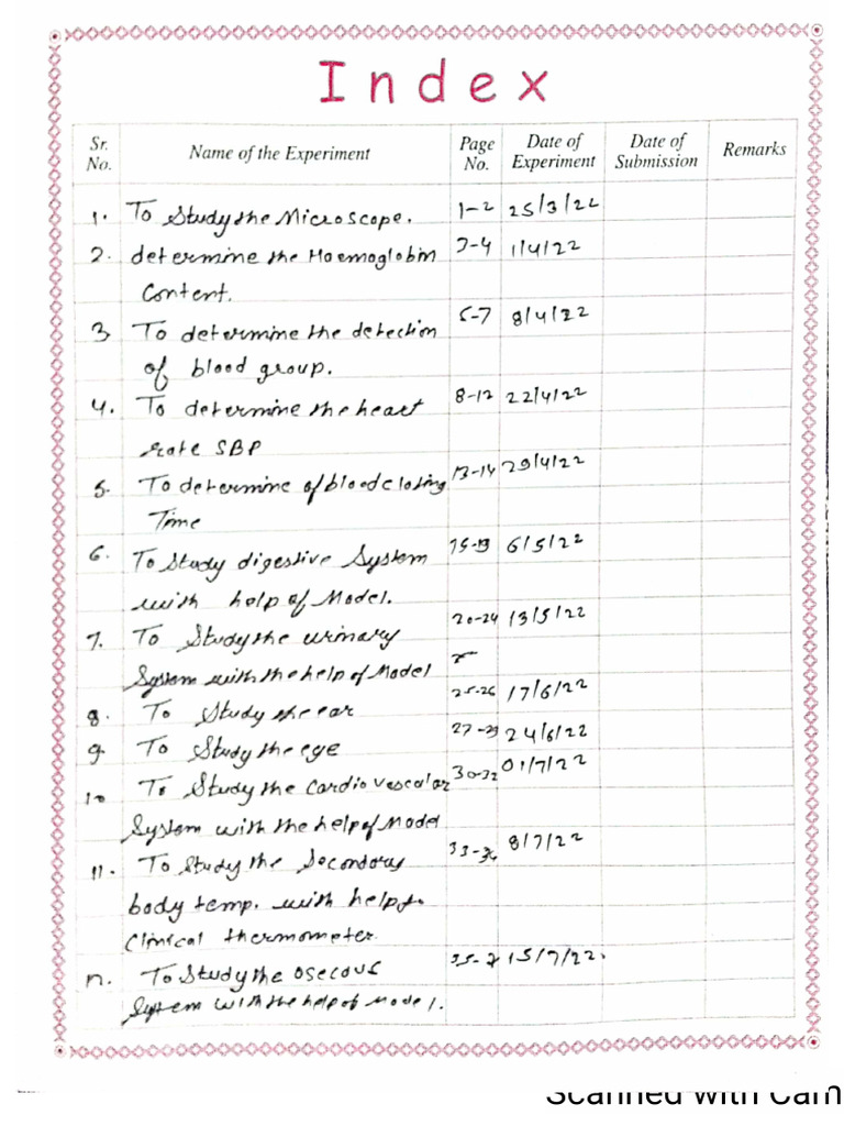 Human Anatomy File Data | PDF